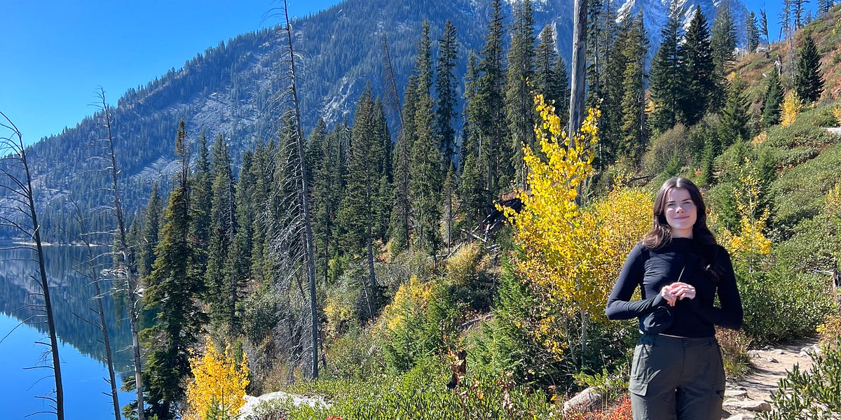 Yeah, I Could Live Here - by Isabel Klee - Dogs & the City