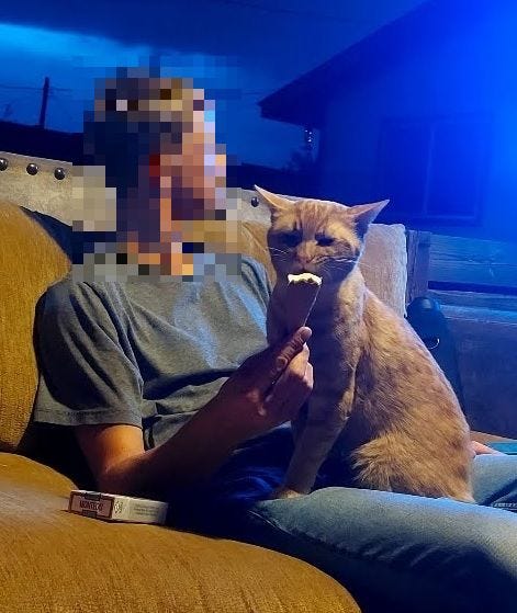 Sam Skateman Does It Again - by SimulationCommander