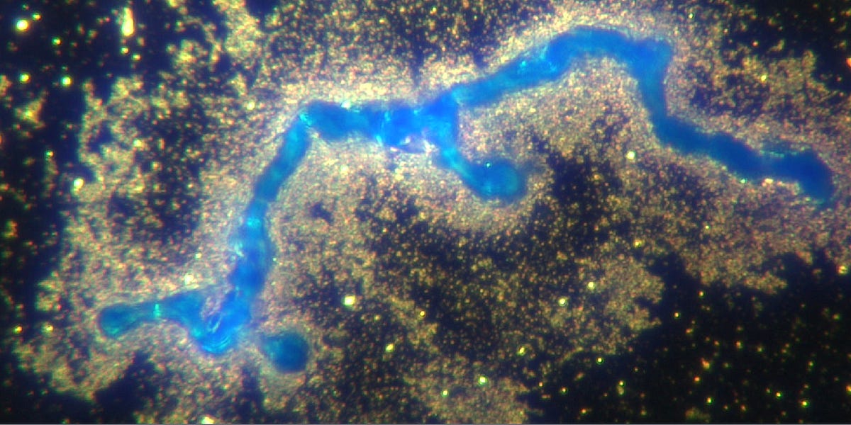 Methylene Blue Binds Hydrogel In Lantus Insulin - Lantus Insulin ...