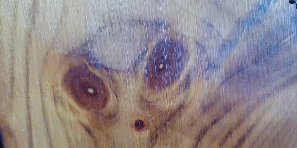 No Class Today, But… - by William M Briggs