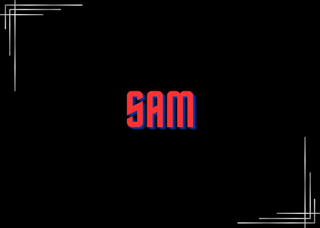 Who Is This SAM Person? - by Aram K. - The Echo Journal
