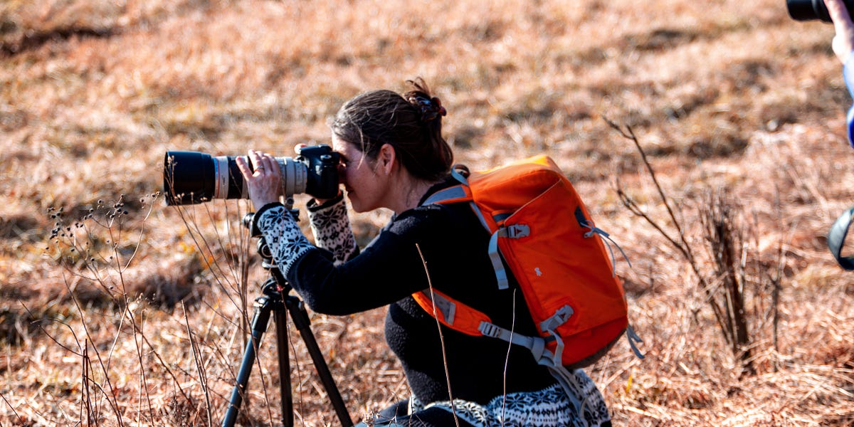 Embracing Compassionate Conservation: Alternatives to Hunting for ...