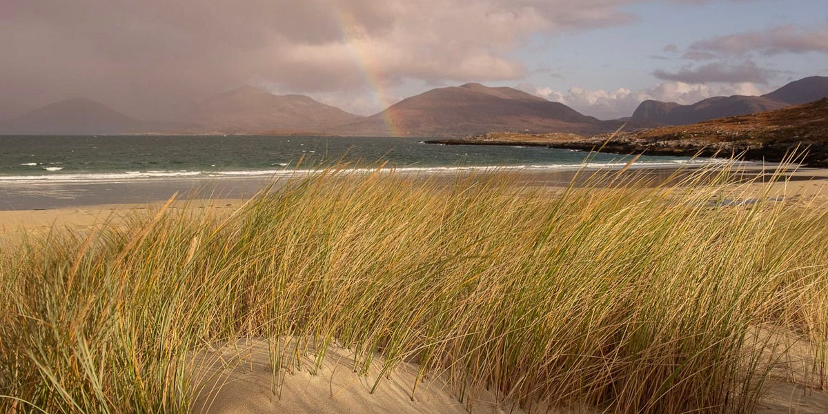 Nigel Cooke - PHOTOSNACK