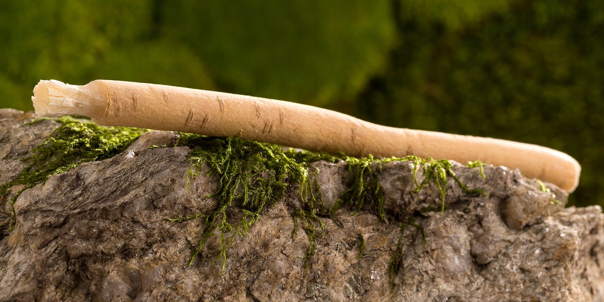 Should you swap out your plastic toothbrush for a stick?