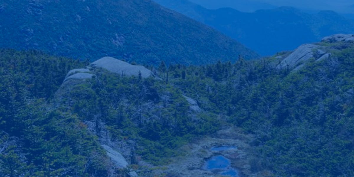 Conservative Environmentalism - by Gideon Lazar