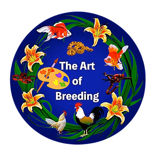 Inbreeding - The Art of Breeding with Brian Reeder