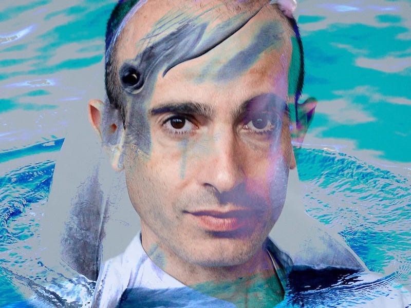 THE MAMMALIAN EQUATION - by Andrew Mercein