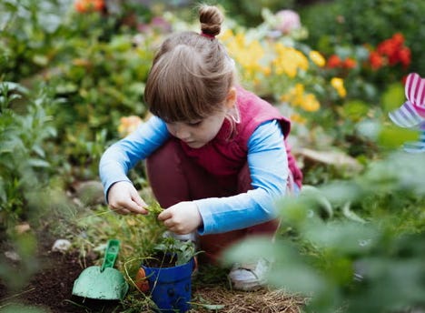 The Garden Minute ⏰: Monday 23 October 2023 - Plantaholics