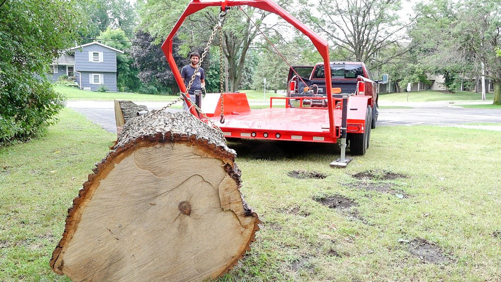 The Urban Logging Model - by Xavier V - Wood You Rather