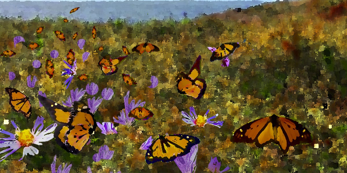 The Perils and Joy of Butterflies at Sea