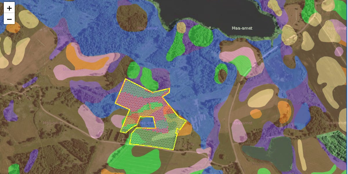 Decoding Carbon Credits The Importance Of Measuring Nature