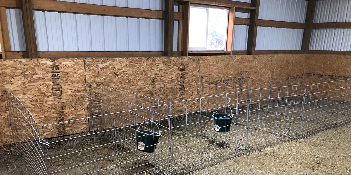 The Lambing Barn - Fat Turkey Farm