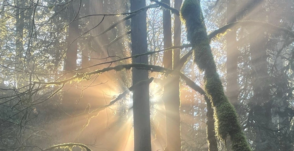 Metaphors on Love - tatum’s Substack