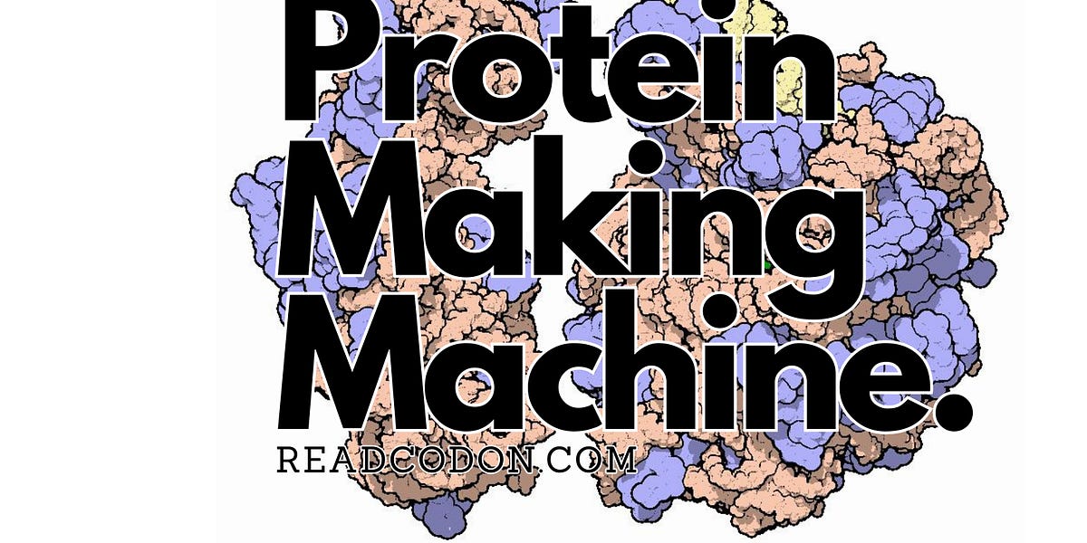 A Protein Printer - by Asimov Press and Adaptyv Bio