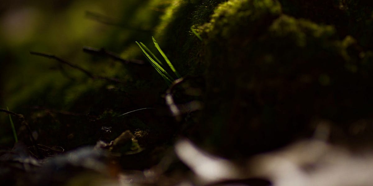 Here we go... - Ming’s Substack