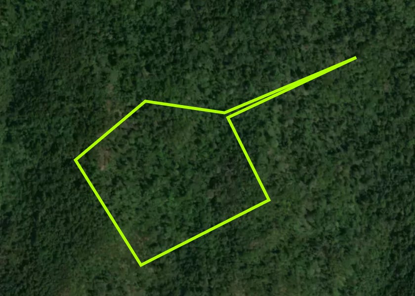 Latest EUDR updates: Polygon Quality requirements, Country Risk update ...