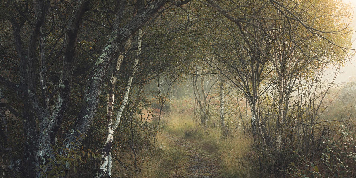 Why I Create Photographs - by Brad Carr - Brad’s Substack