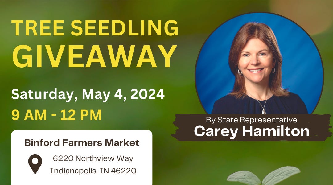 Tree Seedling Giveaway - Rep. Carey Hamilton's Newsletter