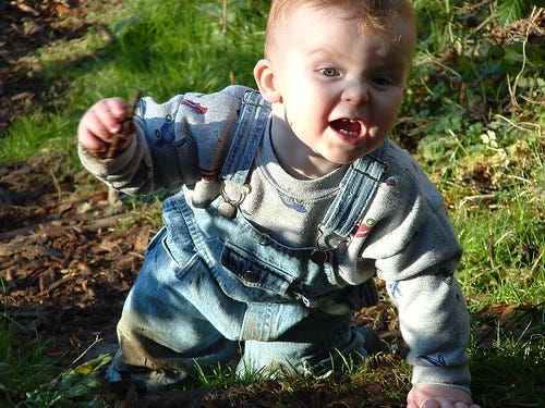 Scary Biting Babies - by CD Damitio