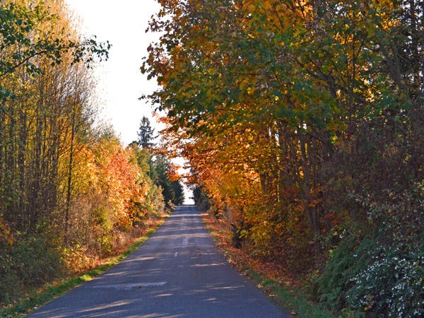 Towne Road reopens - by Jeff Tozzer