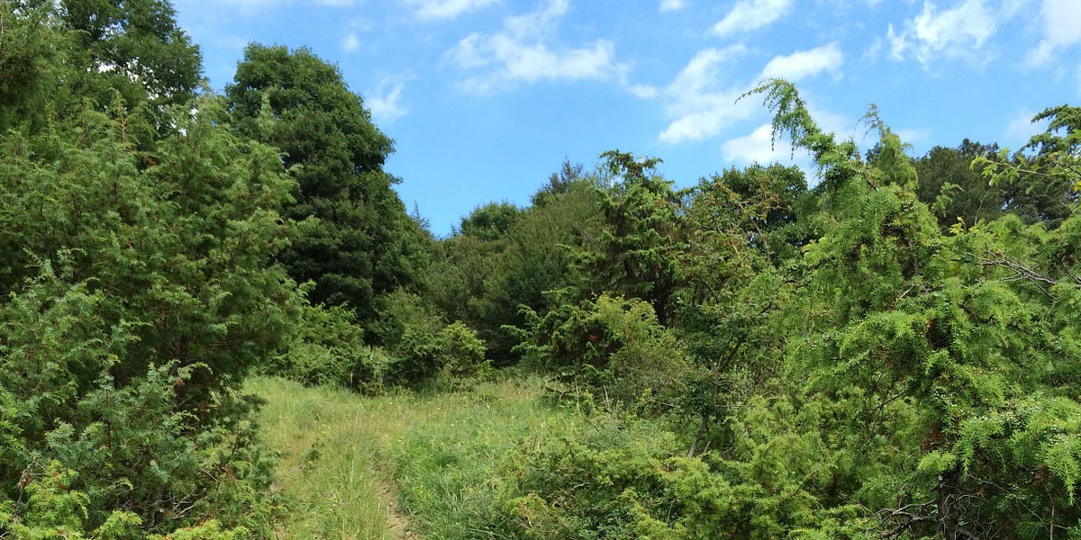 Methane Protocol Passes! - by BCarbon - Fresh Carbon