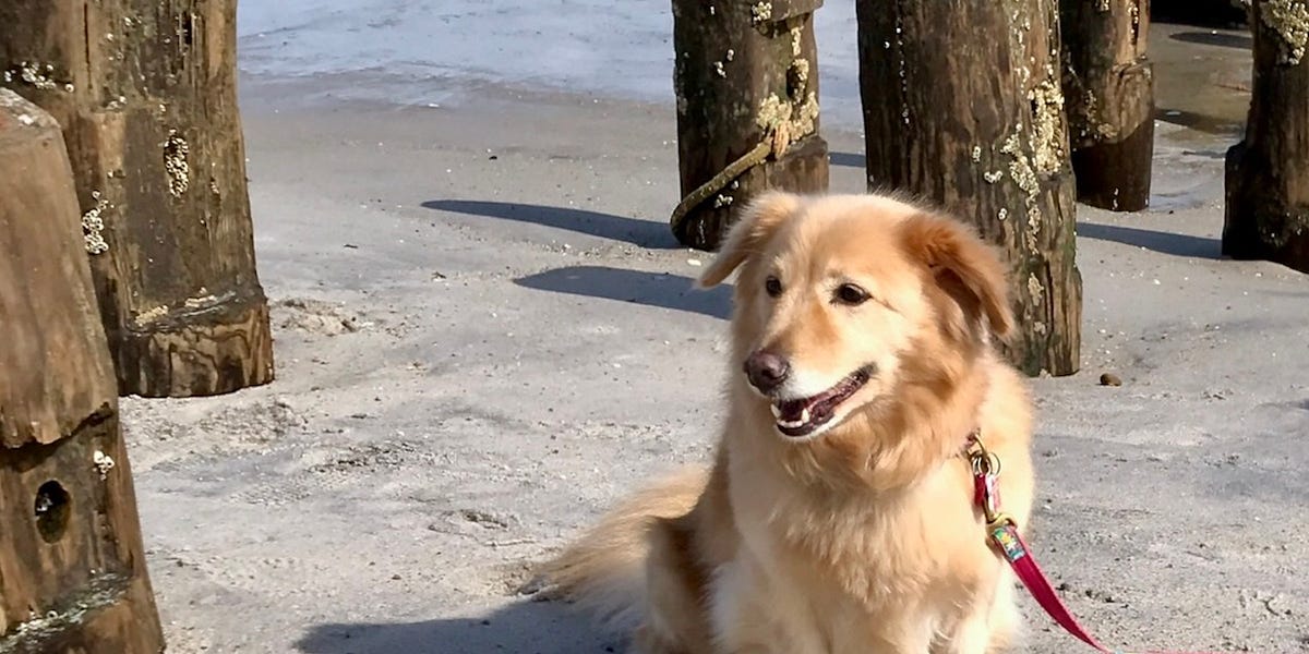 Simple Ways to Reduce Stress - by Mary Ann Rollano, RN