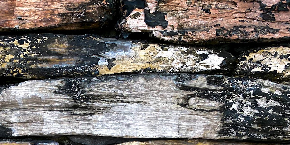 A Story That Must Be Read Alone but Never at Night