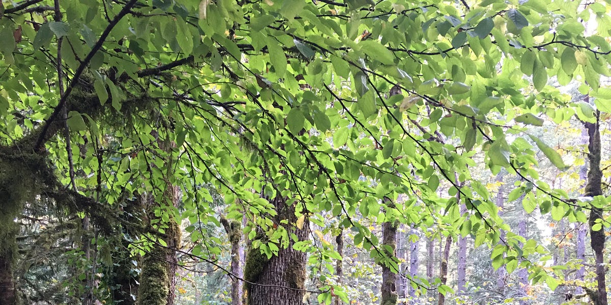 Manifesto #3: Reinvent You - by Russell C. Smith