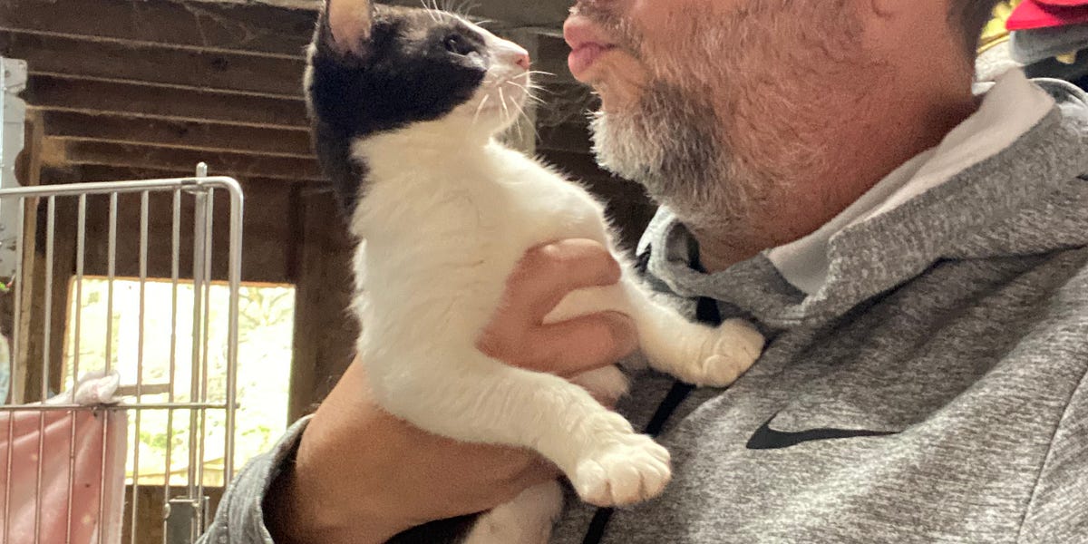 Go Time Again - by Drew Garabo