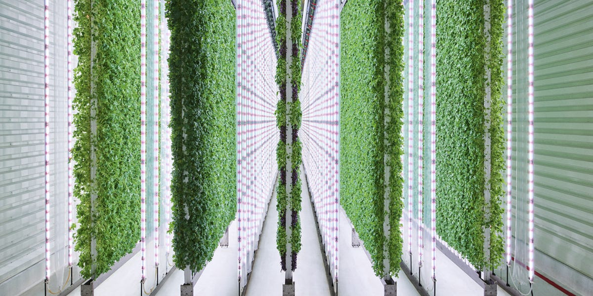 Bye bye vertical? - by Larissa Zimberoff - Technically Food