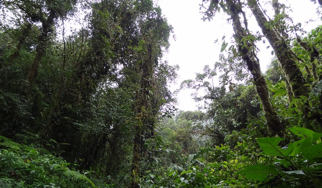 What Happened to Two Dutch Backpackers Who Disappeared in Panama?