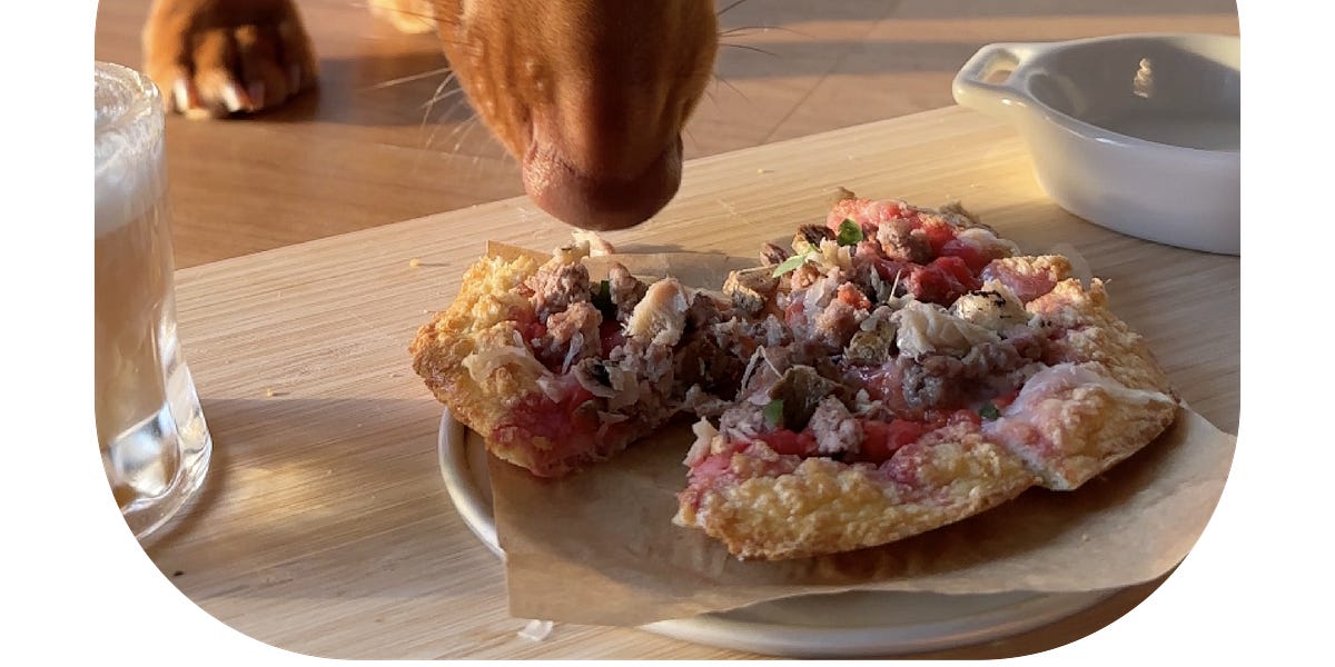 PUPZA! (Pup Pizza) - by thecedlife