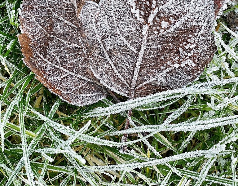 Tuesday 24 January, 2023 - by John Naughton - Memex 1.1