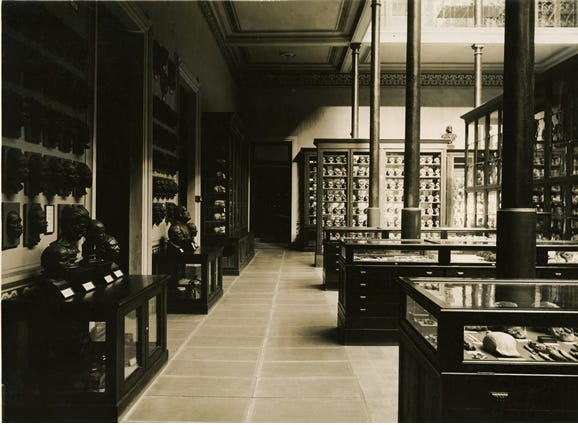 El cuerpo y el más allá - SMILODON'T’