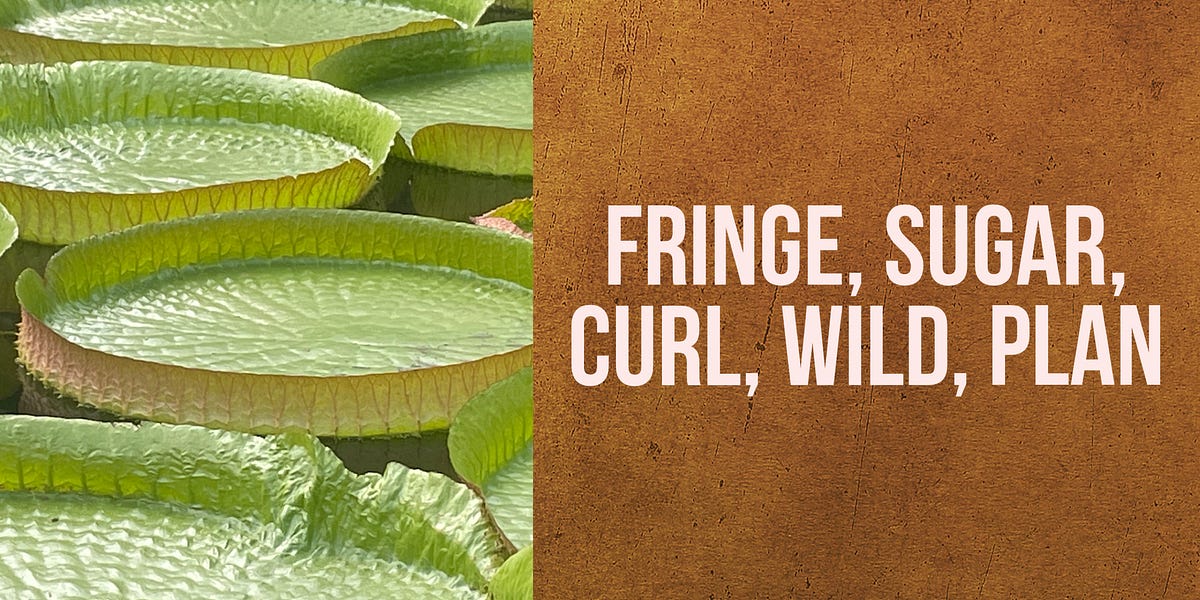 Weird and Wonderful Nature - by Meg Pokrass