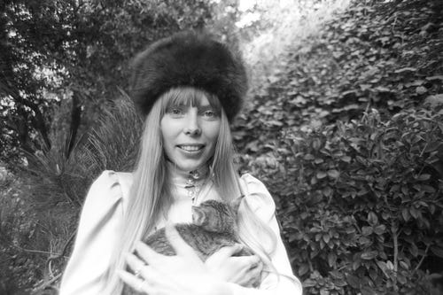 Joni Mitchell, cat lady - by Bailey Richardson - Art Dogs
