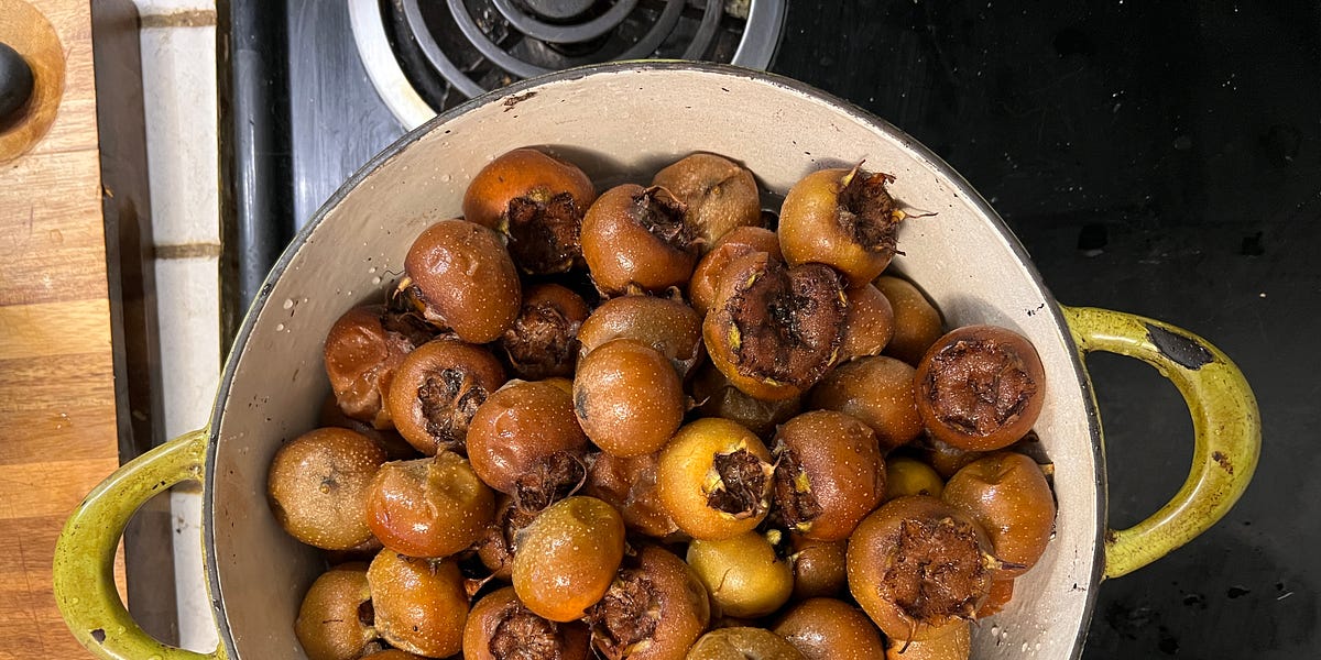 15. What do you do with a medlar? - by Jonathan Kauffman