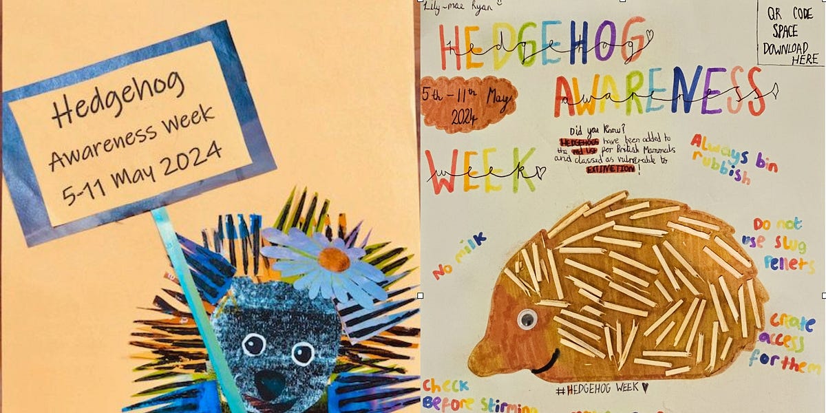 MORE HAW - by Hugh Warwick - Hugh’s Substack