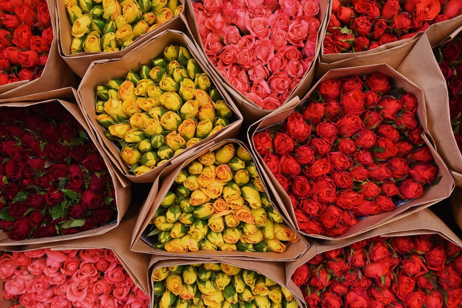 NetScaler 101: Packet drops - by NetScaler Substack