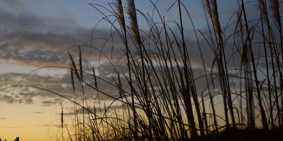 Siphoning the Sound - by Ashley Harkey - Fire & Wind Blog