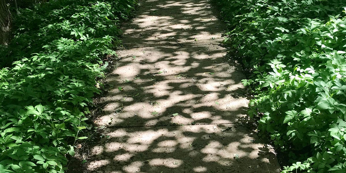 Walking as a Radical Act - by Kim Manley Ort