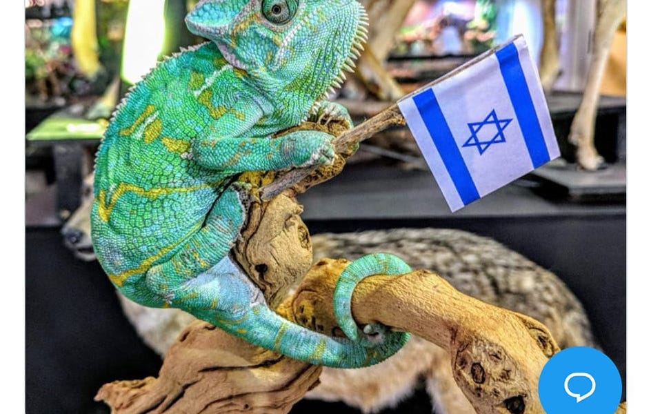 Arguing Small and Strong - by Natan Slifkin