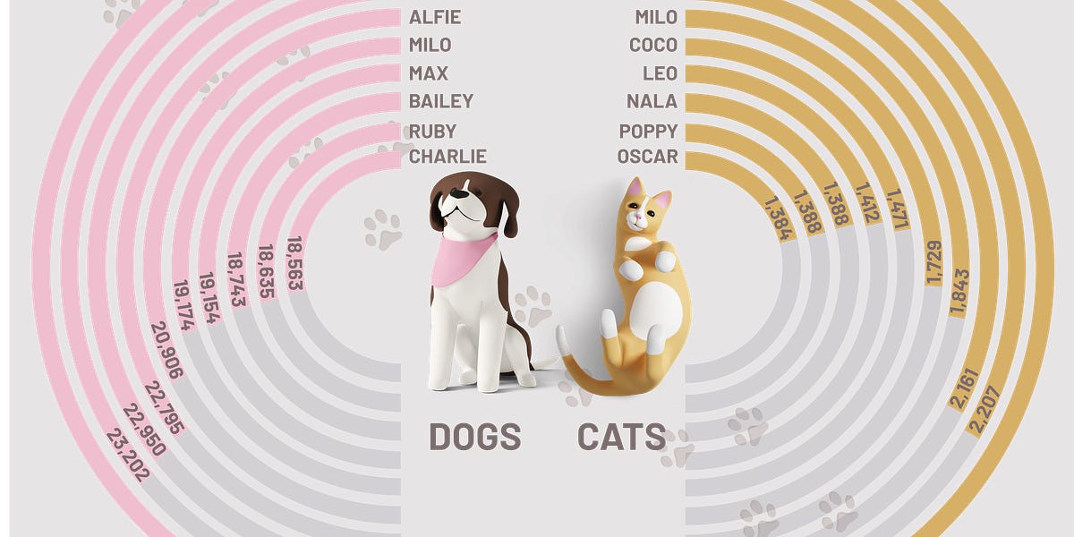 Paw-some pet charts 🐱🐶 - by Amara