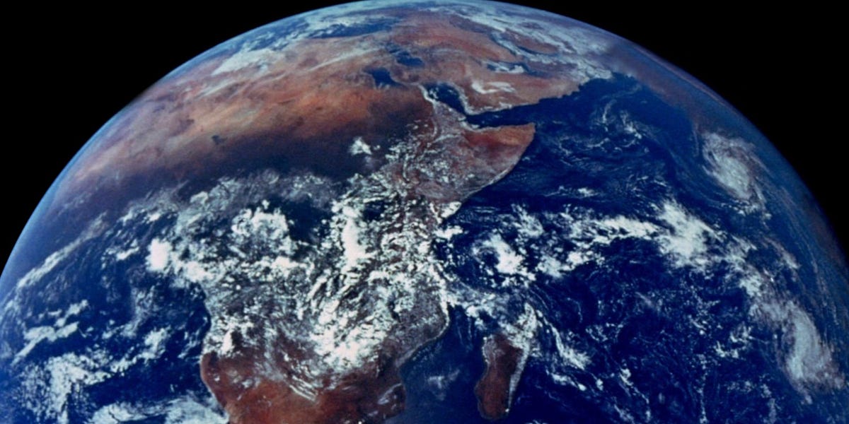 Argentina Elects Chainsaw Guy; Wild(ers) Winner in Dutch Election ...