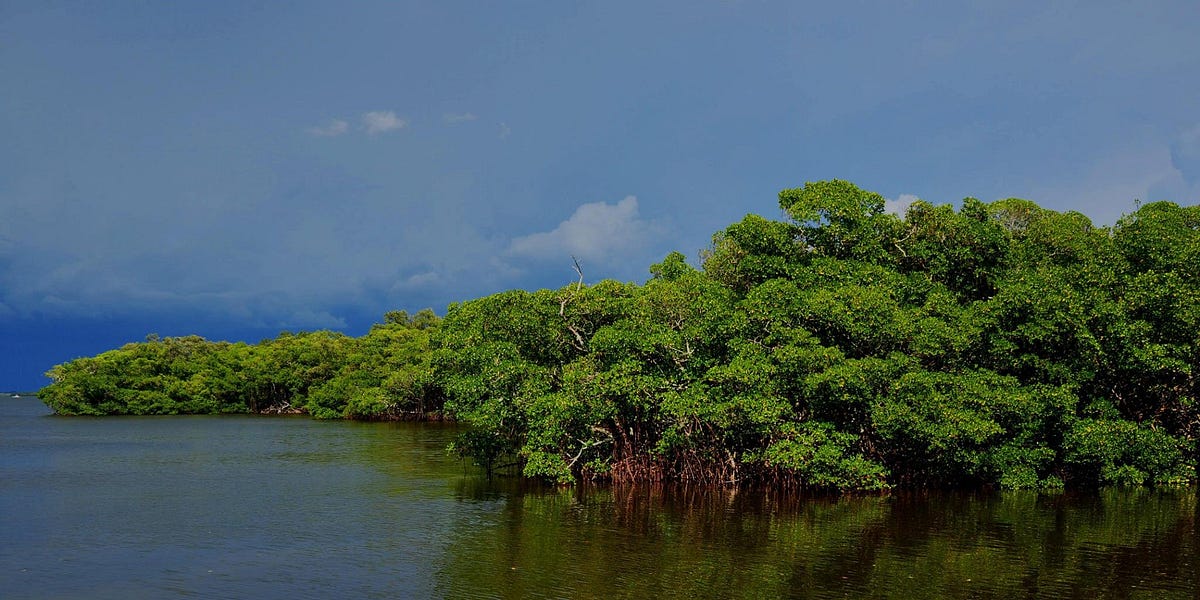 It's time to expand Emerson Point - by Marc R. Masferrer