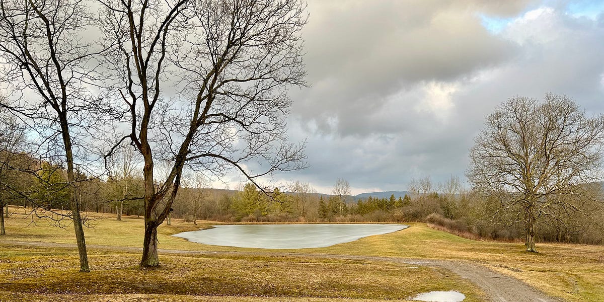 Growing Our Fields - by Taishin Michael Augustin