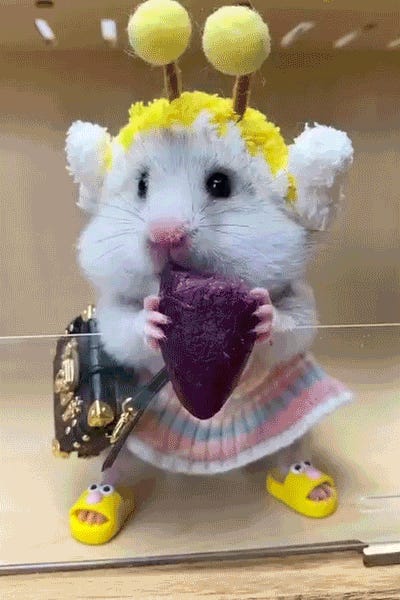 Fancy Hamster Accessorizes - by Martini Glambassador