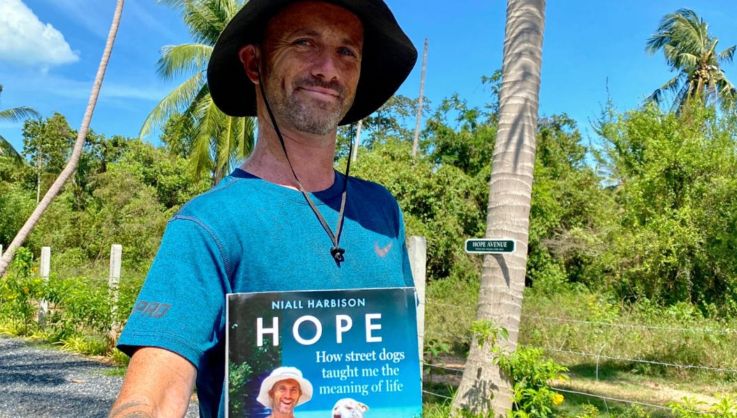 The Big Day Has Arrived - by Niall Harbison - Happy Doggo