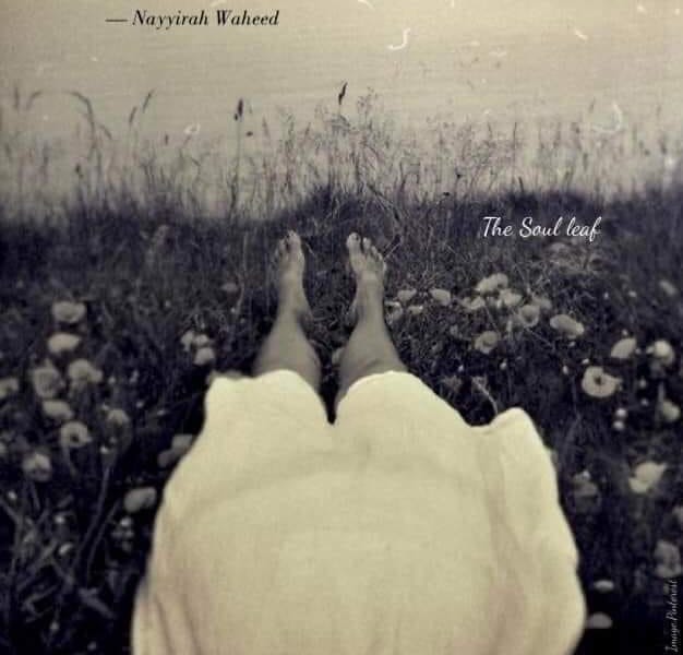 The Body Truce... - by Erin Schaden - Erin’s Substack