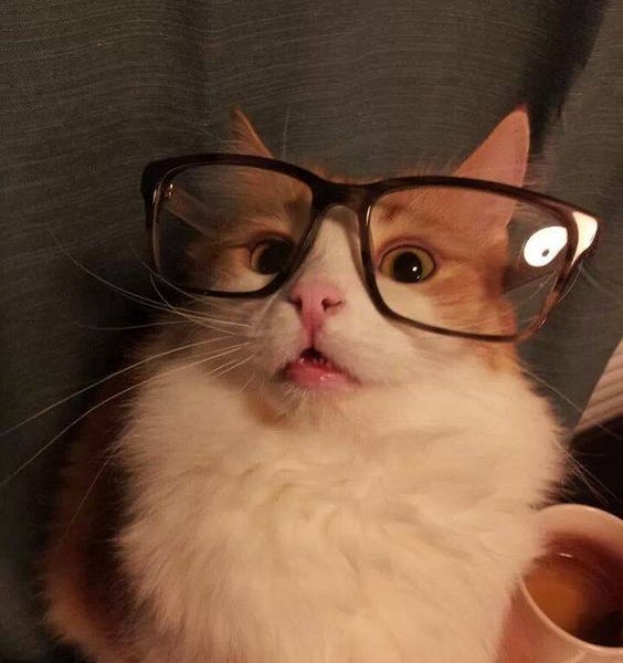 Deploy na Sexta #30: Técnica de estudo para autodidatas